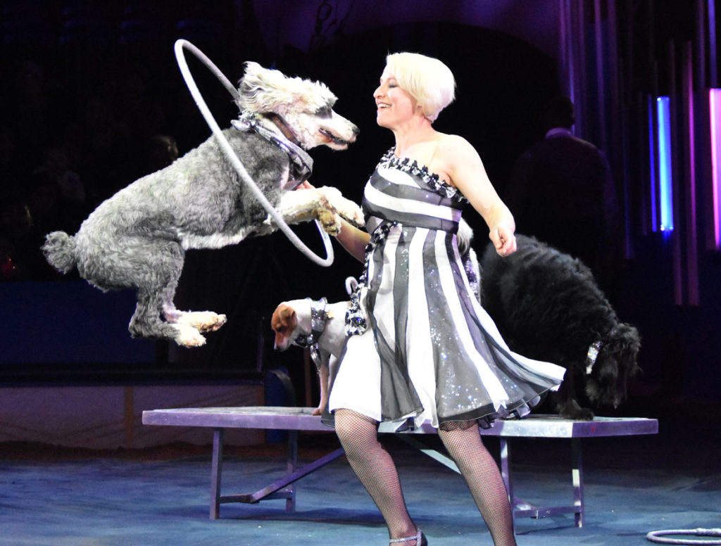 Photos: High-Wire Walkers, Trapeze Artists, Acrobats—Big Apple Circus ...