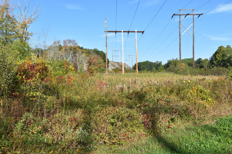 Fall Bike Ride: Through Lynn Marshes Via The Northern Strand Community ...