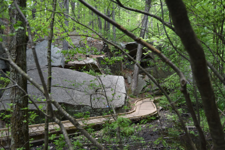 Descending Into Purgatory Chasm – WONDERLAND