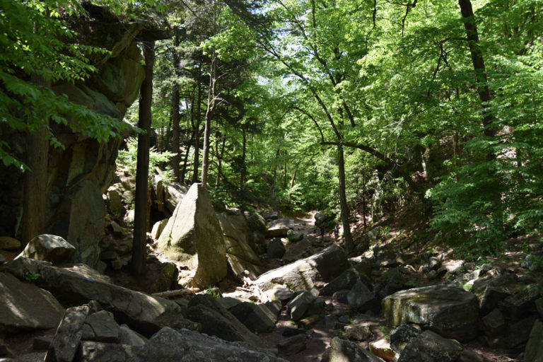 Descending Into Purgatory Chasm – WONDERLAND